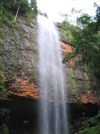 Prefeitura Municipal de Rifaina