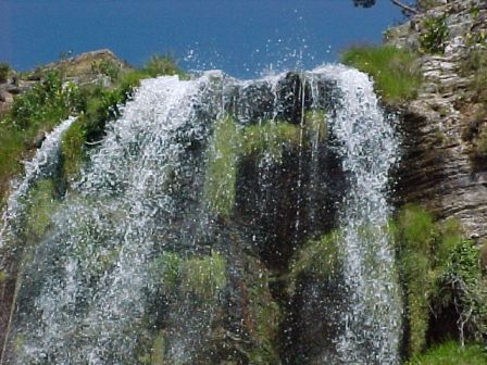 Prefeitura Municipal de Rifaina